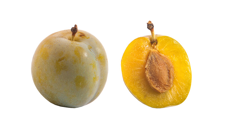 Prunes - Vergers Cancel