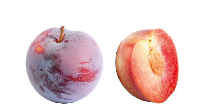 Prunes - Vergers Cancel