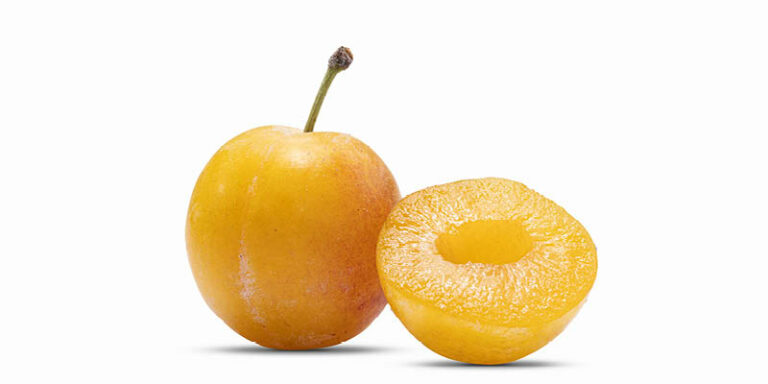 Prunes - Vergers Cancel