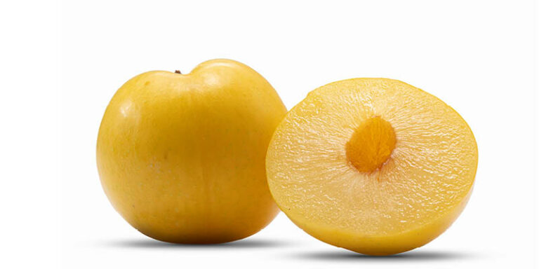 Prunes - Vergers Cancel
