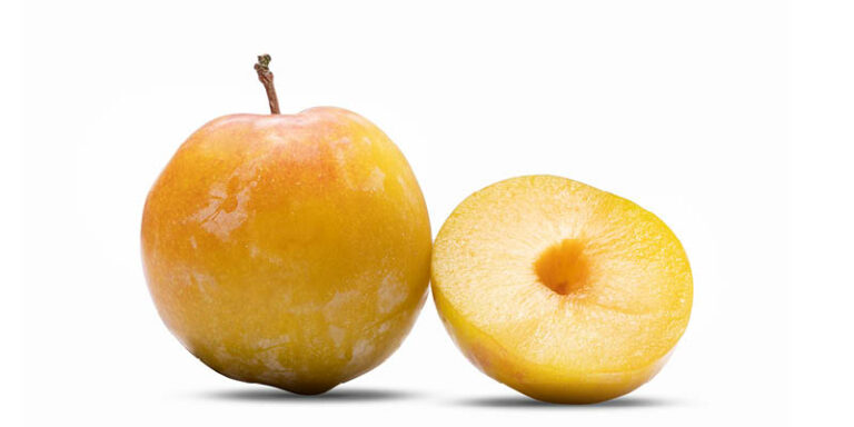 Prunes - Vergers Cancel