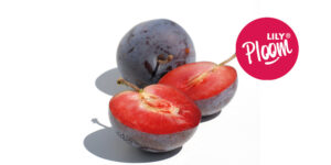 Prunes - Vergers Cancel